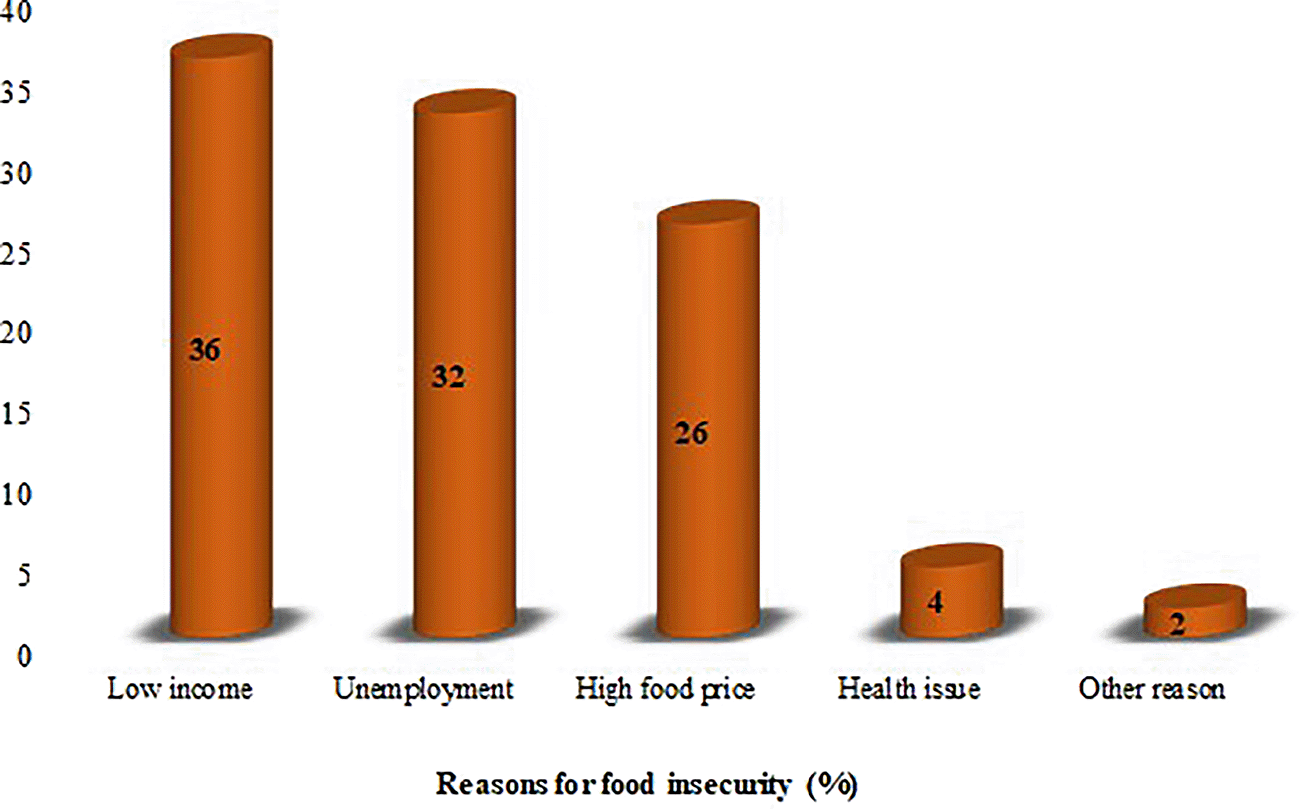 Exploring the role of small and medium food enterprises... | VeriXiv