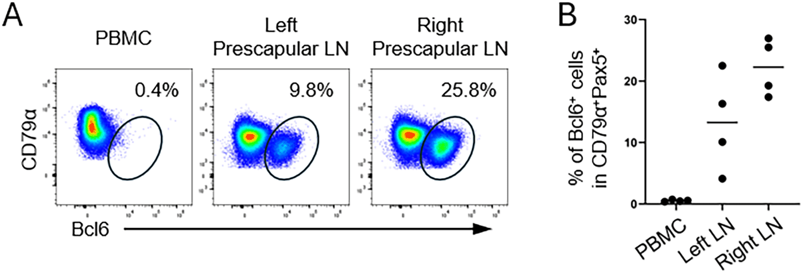 Transcription factor expression for identifying B cell... | VeriXiv