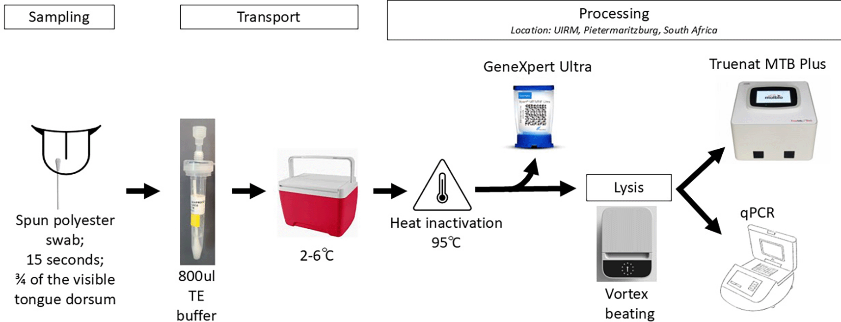 Comparison of Three Molecular Assays Using Tongue Swabs... | VeriXiv