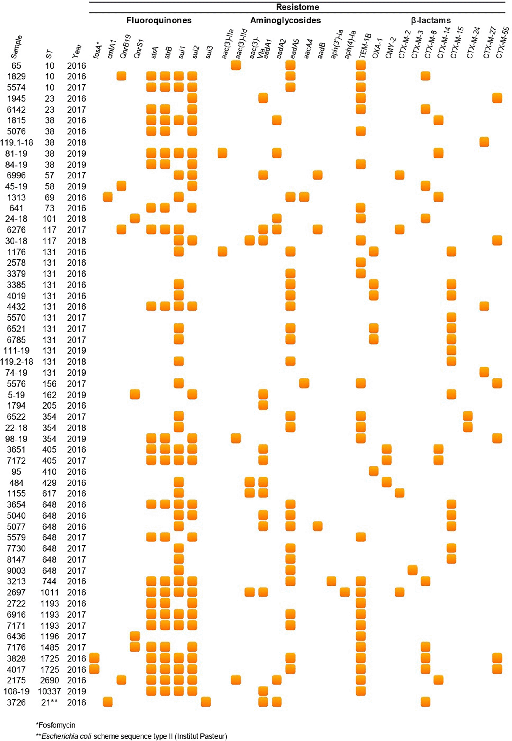 Fluoroquinolone resistant Escherichia coli in... | VeriXiv