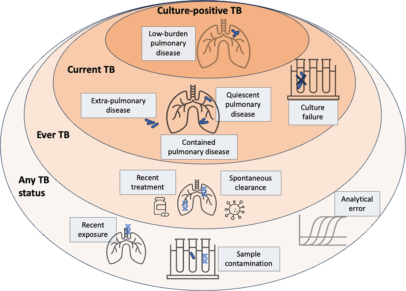 Novel near-point-of-care tuberculosis molecular tests:... | VeriXiv